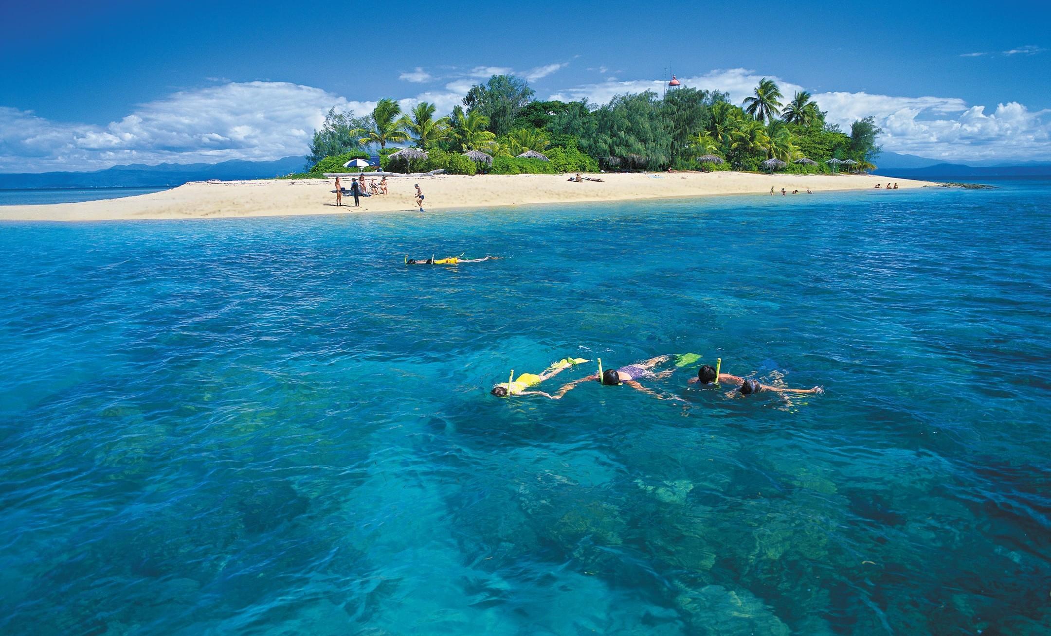 Wavedancer Low Isles Cruises: All you need to know - checkyeti