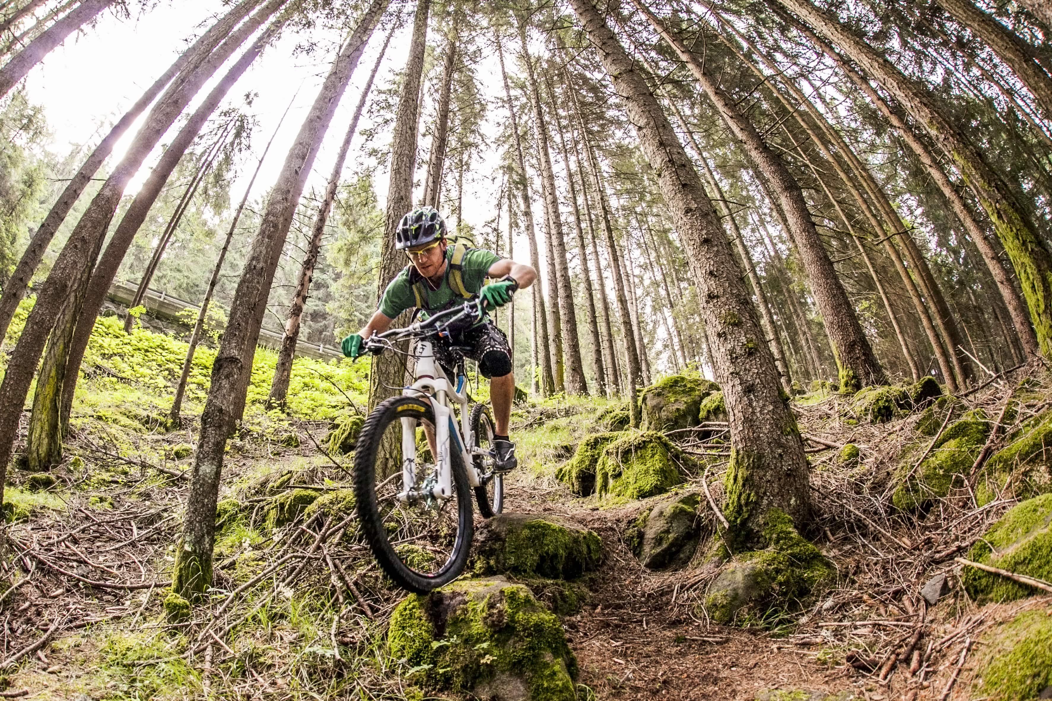 E-Mountain Bike Tour on Alpe di Siusi - Advanced | Alps Activ Seiser Alm