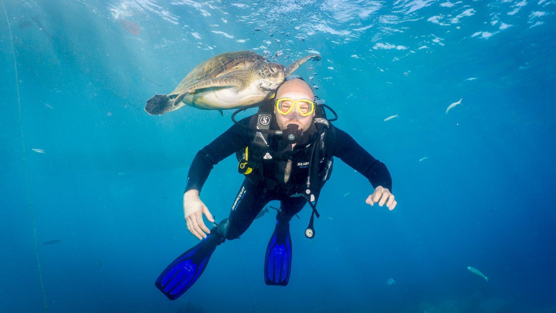 Scuba Diving Course for Beginners - PADI Open Water Diver | Aqua-Marina ...