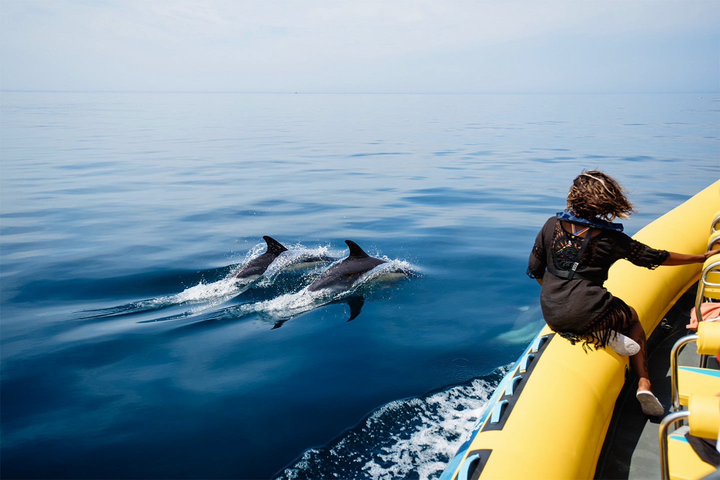 RIB Boat Trip from Lagos with Dolphin Watching | Zawaia Experience Lagos